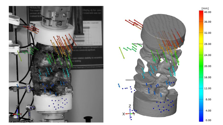 Biomechanics Structural Testing Engineering Services